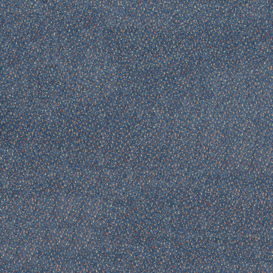 Zeta Tech Carpet | Heavy Contract Carpet | Birch Carpets
